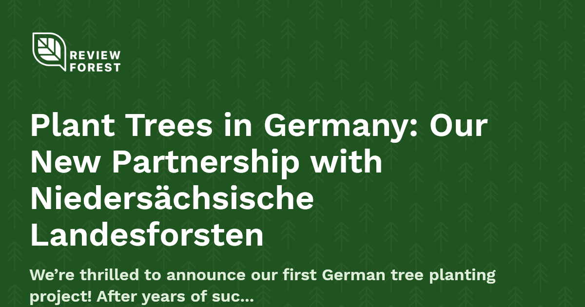Plant Trees in Germany: Our New Partnership with Niedersächsische ...