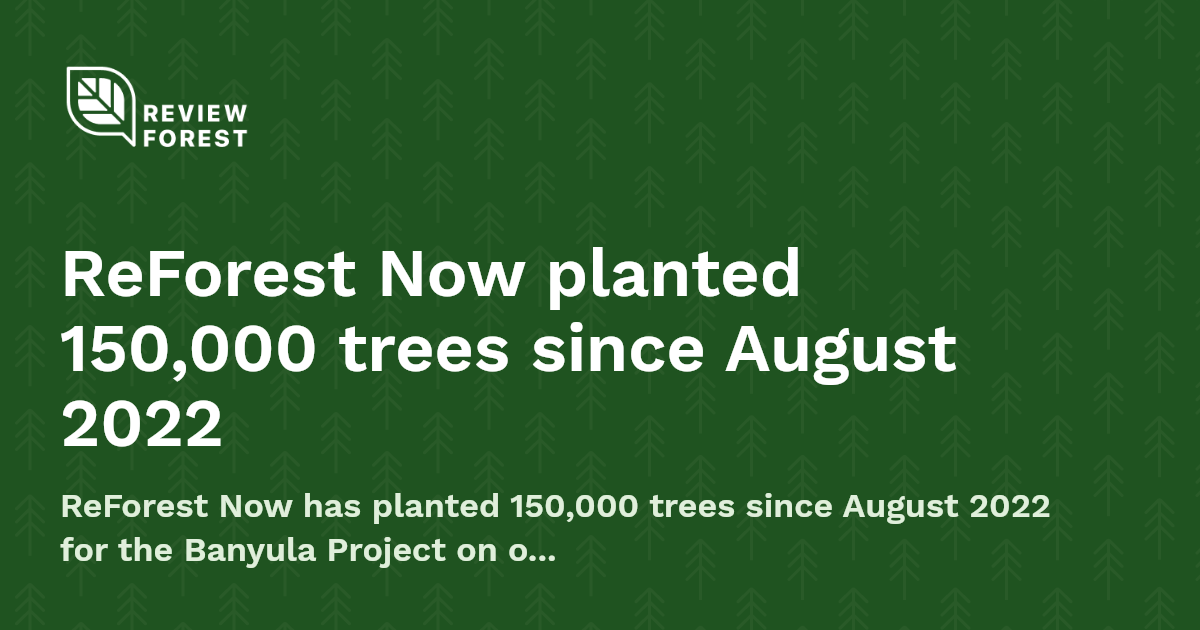 ReForest Now planted 150,000 trees since August 2022 | ReviewForest