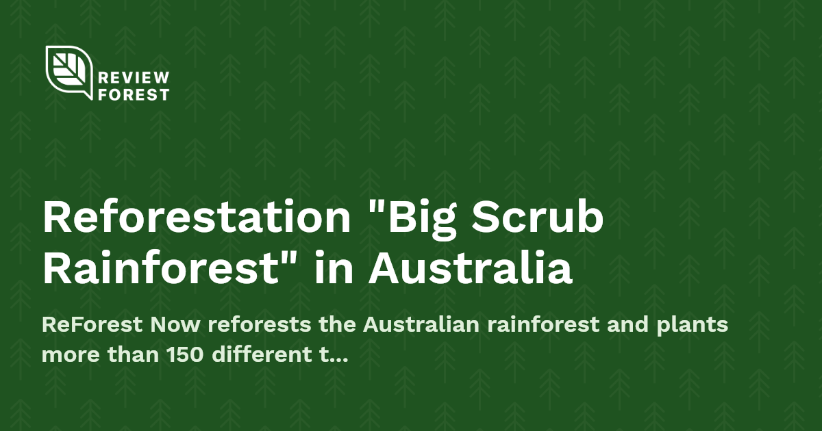 Reforestation "Big Scrub Rainforest" in Australia | ReviewForest